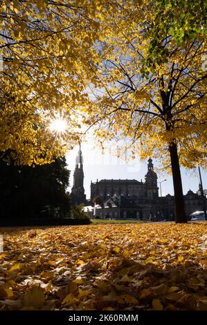 Dresden, Germany. 11th Oct, 2022. Passers-by walk along an avenue with ...