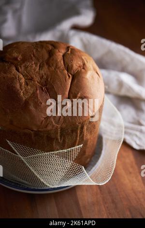 Uncut fresh baked artisan Christmas panettone cake under warm light ...