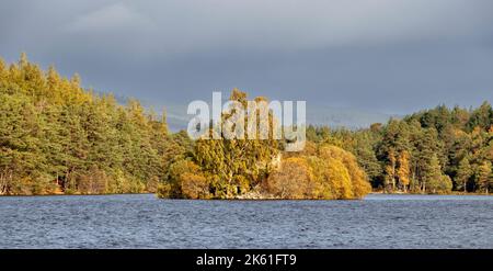 Loch an Eilein Aviemore coloured tree leaves in autumn cover and ...