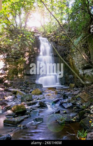 Harmby waterfall, Harmby, Leyburn, North Yorkshire, UK Stock Photo - Alamy