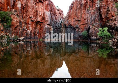 Python Pool in Millstream Chichester National Park Stock Photo - Alamy