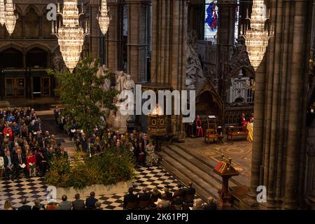The Very Reverend Dr David Hoyle MBE blesses trees during a 'Trees For ...