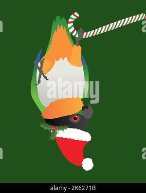 Cartoon Caique Parrot on White Background Stock Vector Image & Art - Alamy