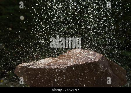 Rain drops falling on a rock Stock Photo - Alamy