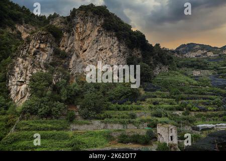 View of the ancient lemon groves in Atrani, Italy Stock Photo - Alamy