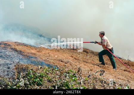 Firemen fighting a small brush fire in the Atlanta area with water and ...