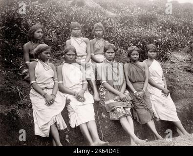 Tea plantation workers, Ceylon (Sri Lanka Stock Photo - Alamy