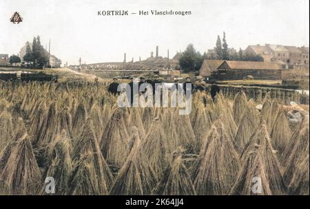 Stooks in a field - sheafs of grain at Kortrijk, Belgium Colourised ...