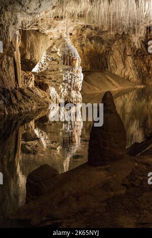 A vertical shot of the inside of a cave with stalagmites and ...