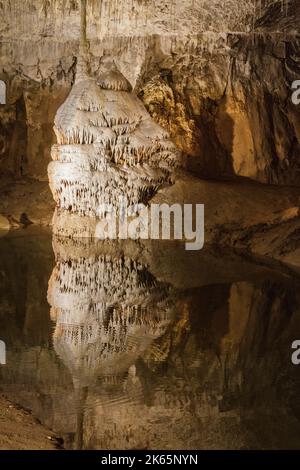 A vertical shot of the inside of a cave with stalagmites and ...