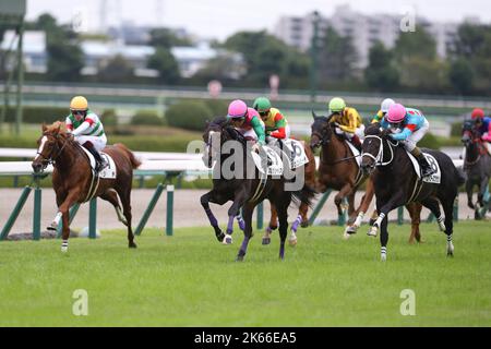 Hyogo, Japan. 9th Oct, 2022. Toshin Macau (Katsuma Sameshima) Horse ...