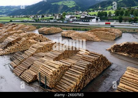 decorticated logs at a lumberyard, Austria, Tyrol Stock Photo - Alamy