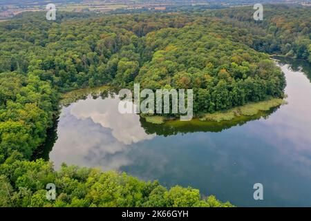 Lake Behlendorf, Forest Behlendorf in the Lauenburg Lakes Nature Park ...
