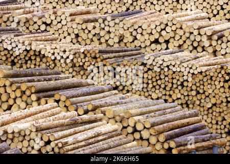 decorticated logs at a lumberyard, Austria, Tyrol Stock Photo - Alamy