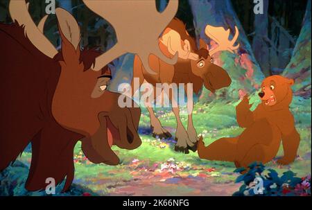 RUTT, TUKE, BROTHER BEAR, 2003 Stock Photo - Alamy