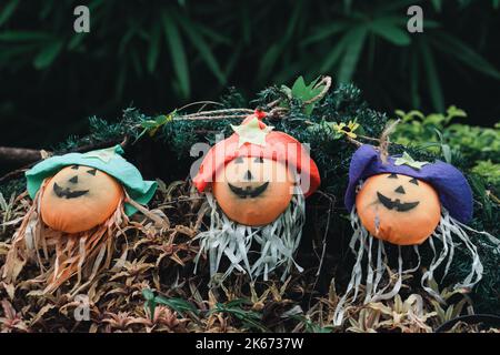 Cute Halloween decorations hanging on a tree in the forest to celebrate ...