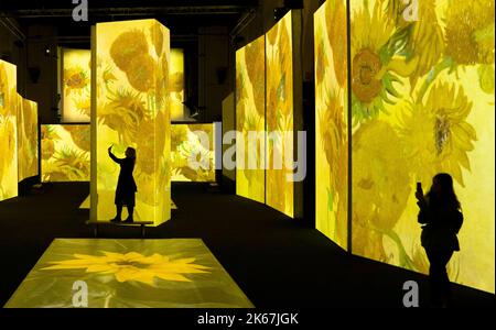 A workman takes a photo has the finishing touches are made ahead of the ...