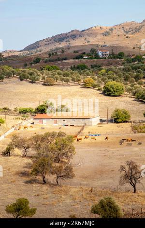 Small Greek farm at Molyvos on the Island of Lesvos Greece Stock Photo ...