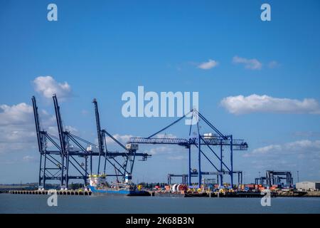 London Thamesport container port with gantry cranes loading a ship ...