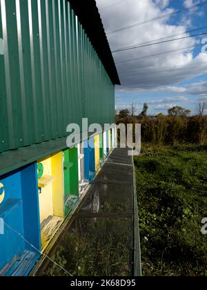 Wooden hives on a mountain apiary Stock Photo - Alamy