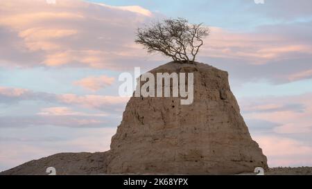 beautiful Limestone rock formations at the Umm Bab, Qatar Stock Photo ...