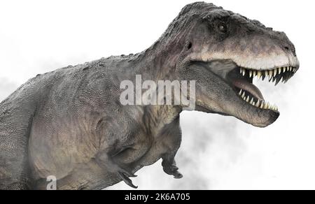 Tarbosaurus bataar, a prehistoric era dinosaur from the Late Cretaceous ...