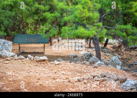 Animals in the small zoo in Antalya, Turkey Stock Photo - Alamy
