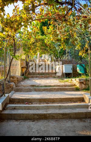 Animals in the small zoo in Antalya, Turkey Stock Photo - Alamy