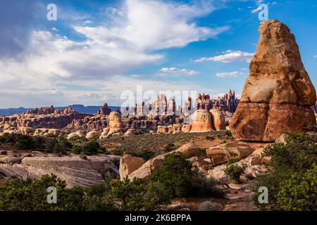 The Needles, Cedar Mesa sandstone spires, with a stormy sunrise in the ...