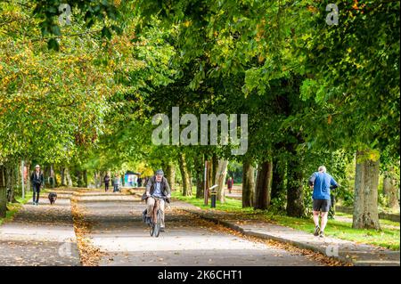 Marina Walkway, Cork, Ireland. 13th Oct, 2022. Autumn colours were ...