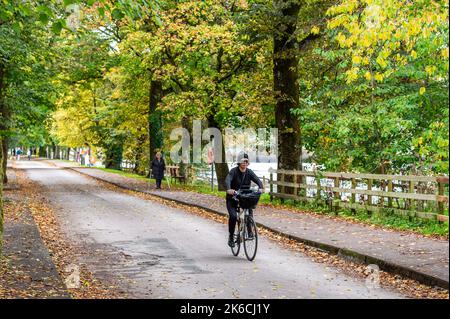 Marina Walkway, Cork, Ireland. 13th Oct, 2022. Autumn colours were ...