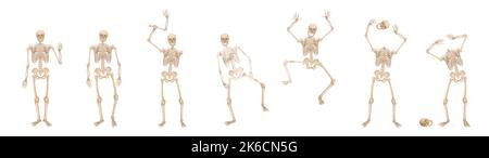 Skeletons, differing poses, walking, jumping, scaring, waving, greeting ...