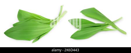 Ramson bunch vegetable isolated on white background with clipping path ...