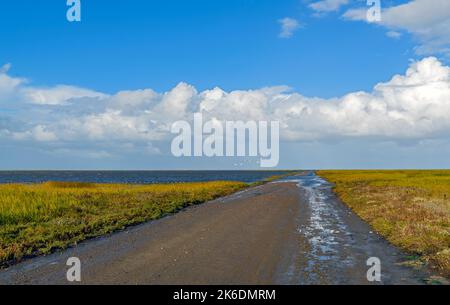 Tidal road to the island Mandö, south-western Jylland, Denmark. The ...