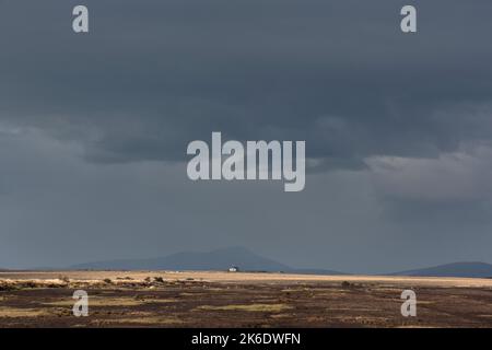 Abandoned cottage in the middle of the vast country of Bangor Erris Bog ...