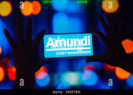 In this photo illustration the Amundi Asset Management logo displayed ...