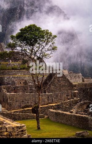 Stepping back into the uncovered ancient Machu Picchu civilization ...