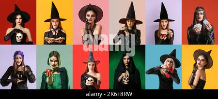 Collage with young witches on colorful background Stock Photo - Alamy