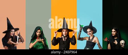Collage with young witches on colorful background Stock Photo - Alamy