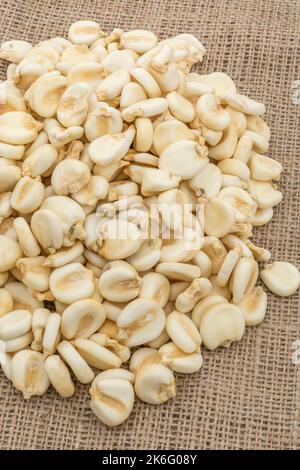 Dried maize mote on a white background Stock Photo - Alamy