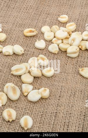 Dried maize mote on a white background Stock Photo - Alamy
