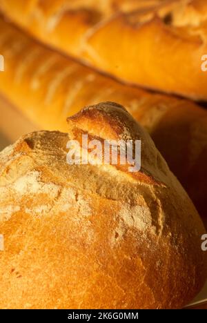 Different types of bread with warm colors Stock Photo - Alamy