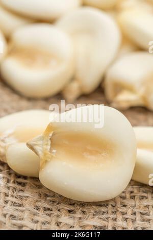 Dry maize mote close up. Macro shot. Hominy grain Stock Photo - Alamy