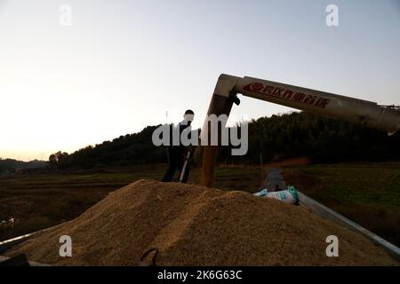 CHENZHOU, CHINA - OCTOBER 13, 2022 - Villagers load a truck with ...