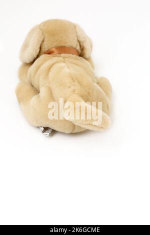 Andrex Puppy Soft Toy Celebrating 30 years of Andrex Toilet Paper Stock ...