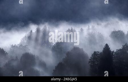 Monochrome Sun breaking through the mist over the Teviot River in ...