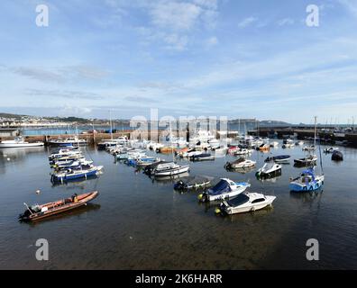 Harbour at paighton in Devon UK Stock Photo - Alamy