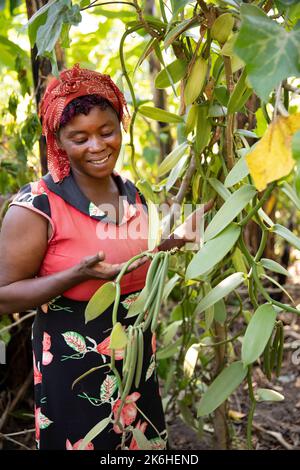 A woman smallholder farmer stands on her farm with her vanilla bean ...