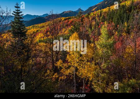 Magnificent autumn scenery near Sundance Ski Resort, Utah, USA. Viewed ...