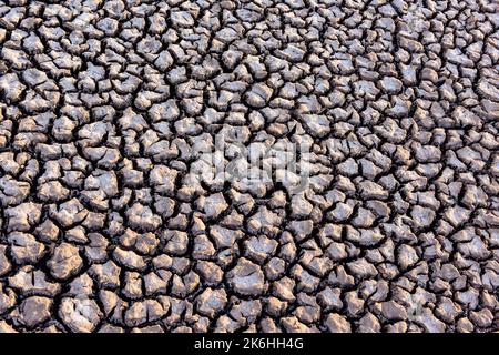 Dry soil desert , La pampa province, Pampas, Patagonia, Argentina Stock ...